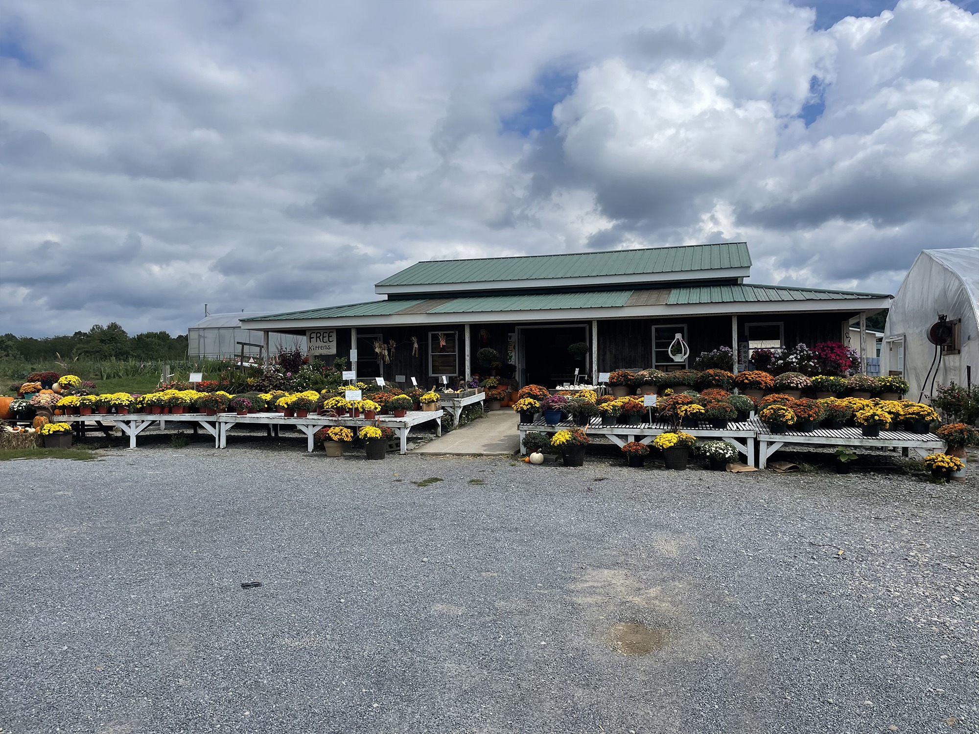 Photo Gallery | Weaver’s Market in Homer City, PA