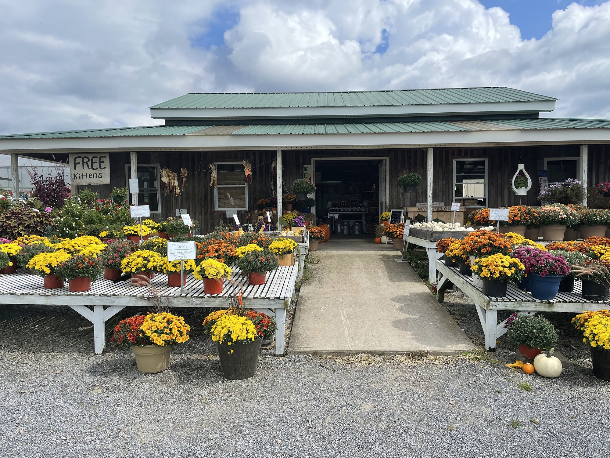 Photo Gallery | Weaver’s Market in Homer City, PA